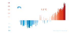 Ostrom Climate - Leading providers of carbon management solutions