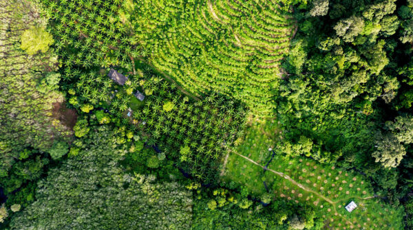 Offsetters Community Projects - Ostrom Climate