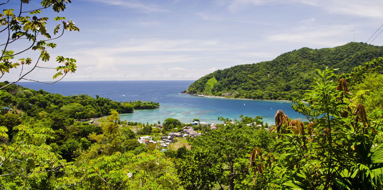 BioREDD (Chemonics) - Ostrom Climate