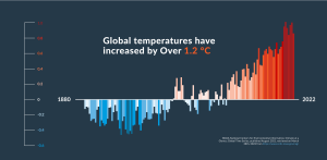 Ostrom Climate - Leading providers of carbon management solutions