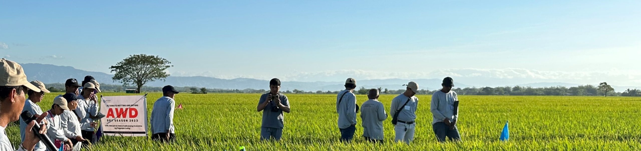The Upper Pampanga Rice Climate-Smart Rice Project - Ostrom Climate