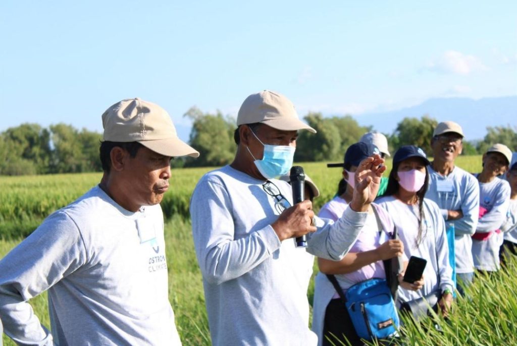 The Upper Pampanga Rice Climate-Smart Rice Project - Ostrom Climate