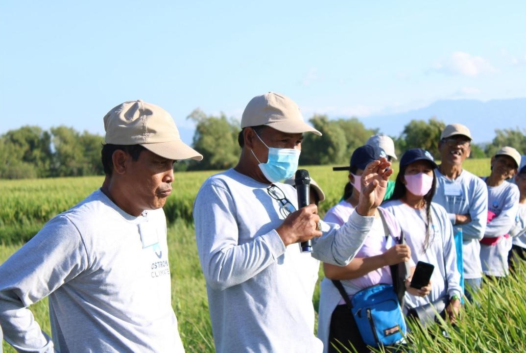 The Upper Pampanga Rice Climate-Smart Rice Project - Ostrom Climate