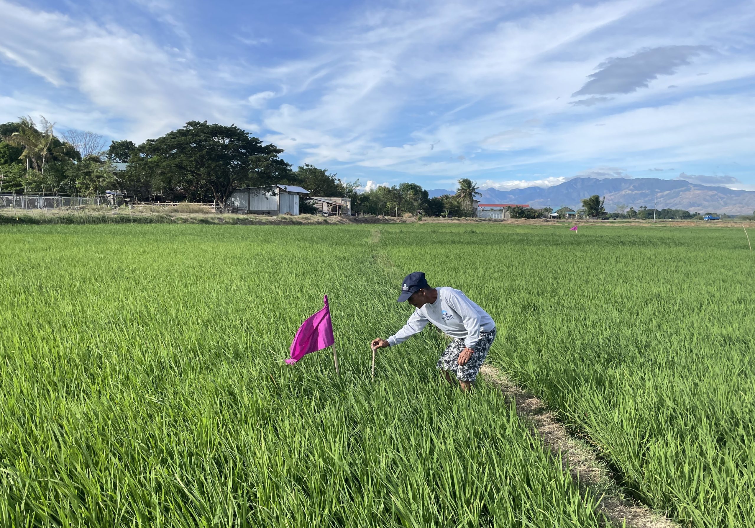 Carbon Project Development - Ostrom Climate